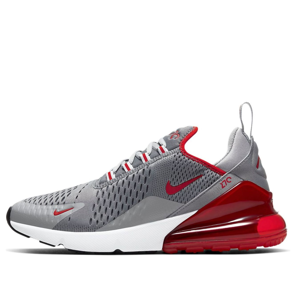 Nike Air Max 270 Particle Grey University bunt CW7048 001