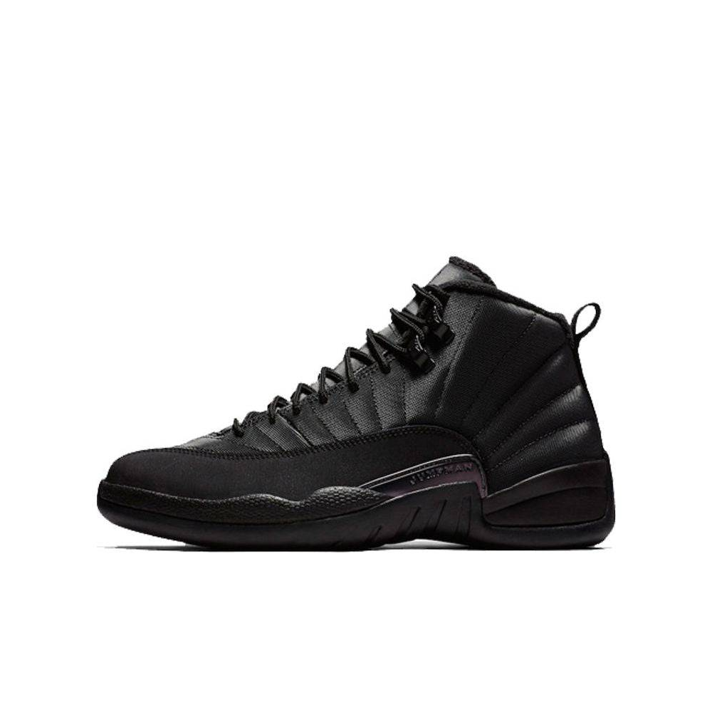 Jordan Air 12 Winter Retro schwarz BQ6851-001 Preisvergleich