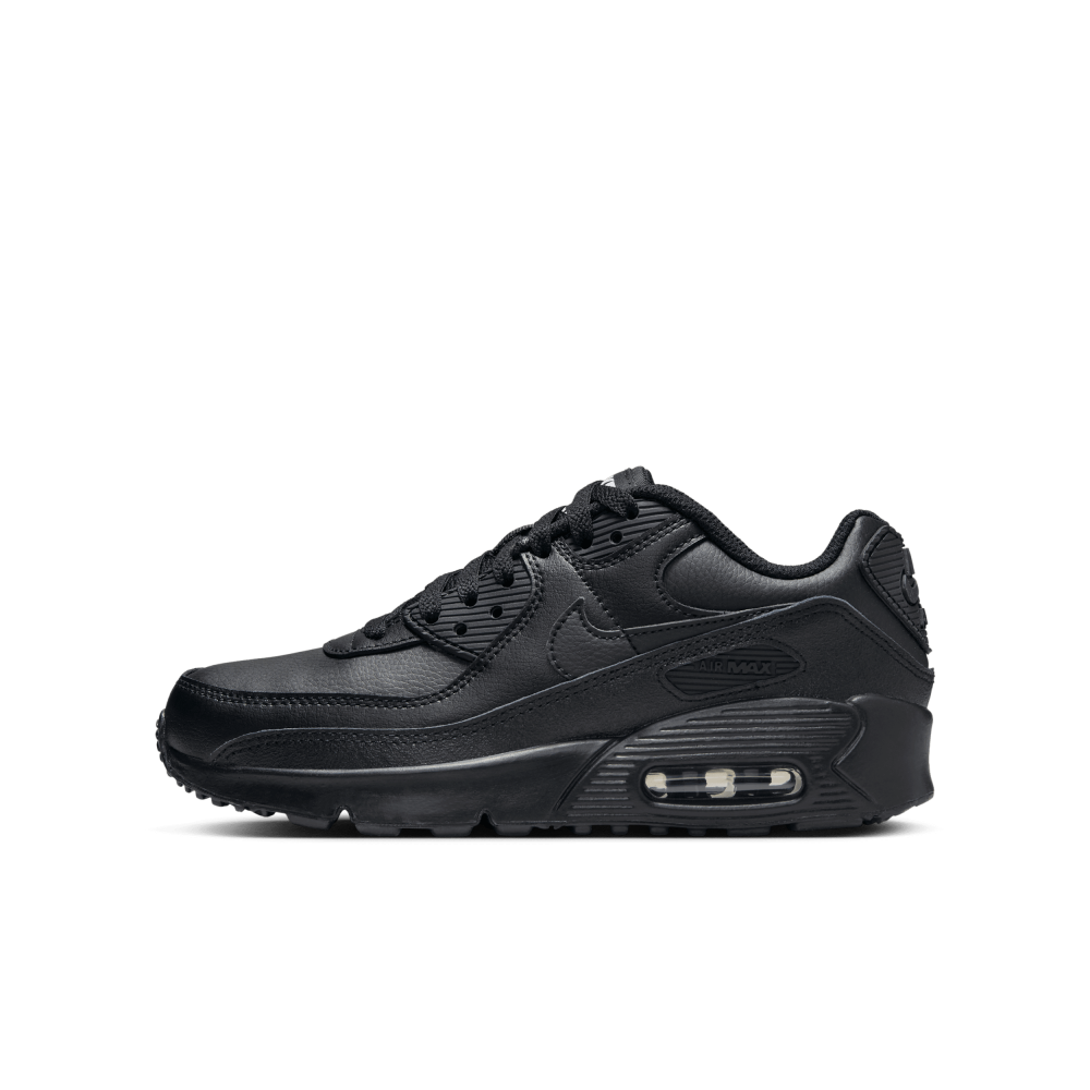 Nike Air Max 90 LTR schwarz CD6864-028 Preisvergleich
