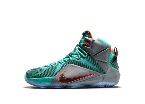 Nike LeBron 12 NSRL bunt 684593-301 Preisvergleich